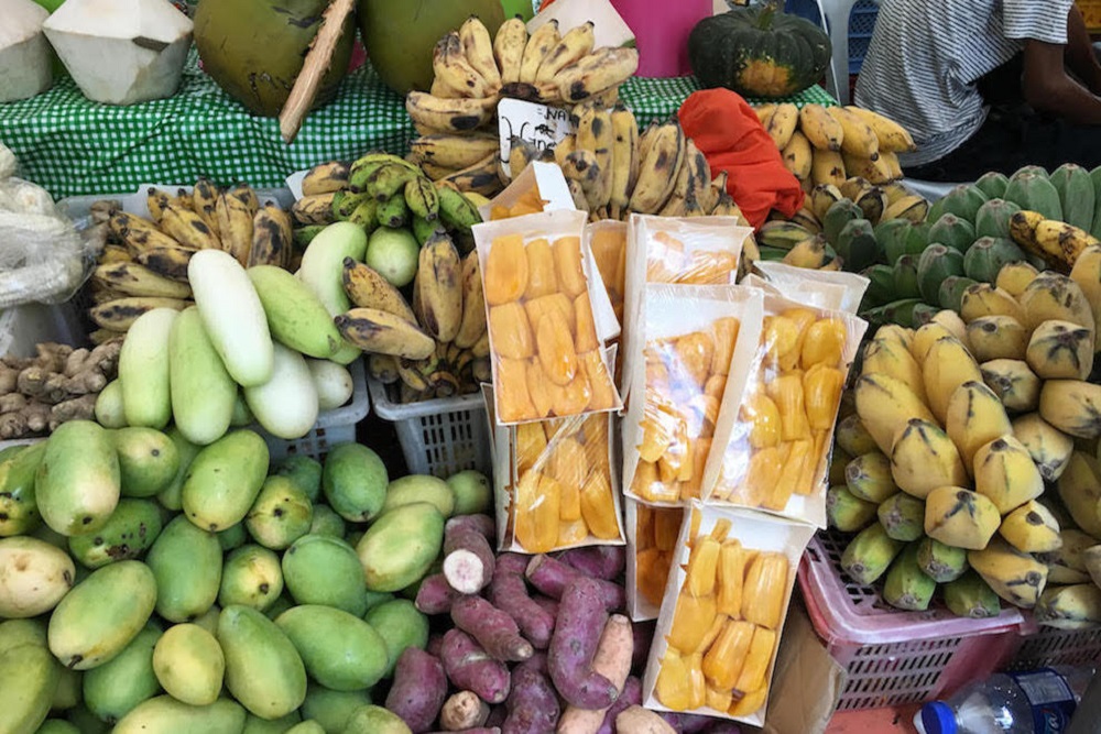 Policy Brief: Sustainable Prevention of Food Crises in Sub-Saharan ...