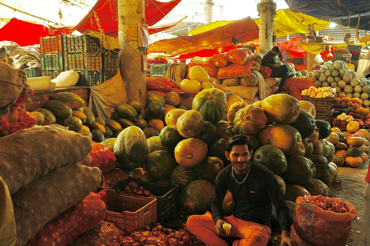 India Can Turn Hunger Gains Into Lasting Change – Maximo Torero